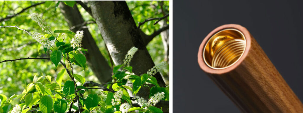 コクヨWPシリーズに限定300本の「KOKUYO WP Limited edition 2024木軸モデル」 - sutero choice